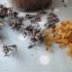 duftendes Lavendel-Peeling